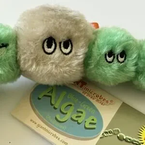 Giant Microbes | Toys | Giant Microbes Blue Green Algae Anabaena Plush ...